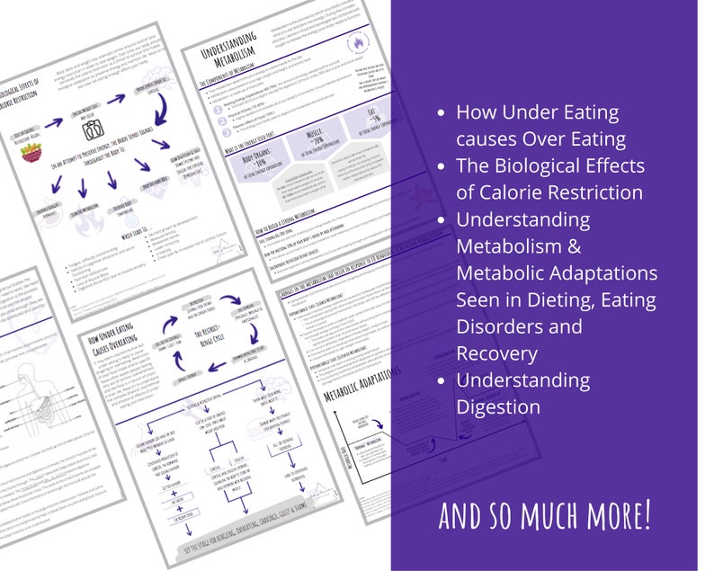 Eating Disorder Client Education Bundle for Dietitians/ Rds printable ...