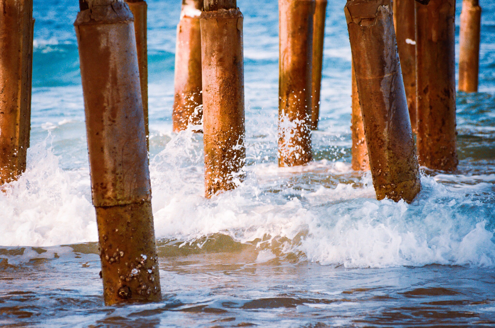 Florida Wall Art Flagler Beach Landscape Photo Print - Etsy