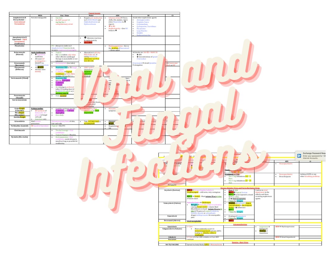 Viral and Fungal Infections Pharmacy Notes - Etsy