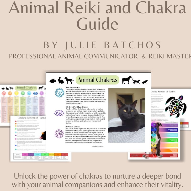 Printable Chakra Chart - Etsy