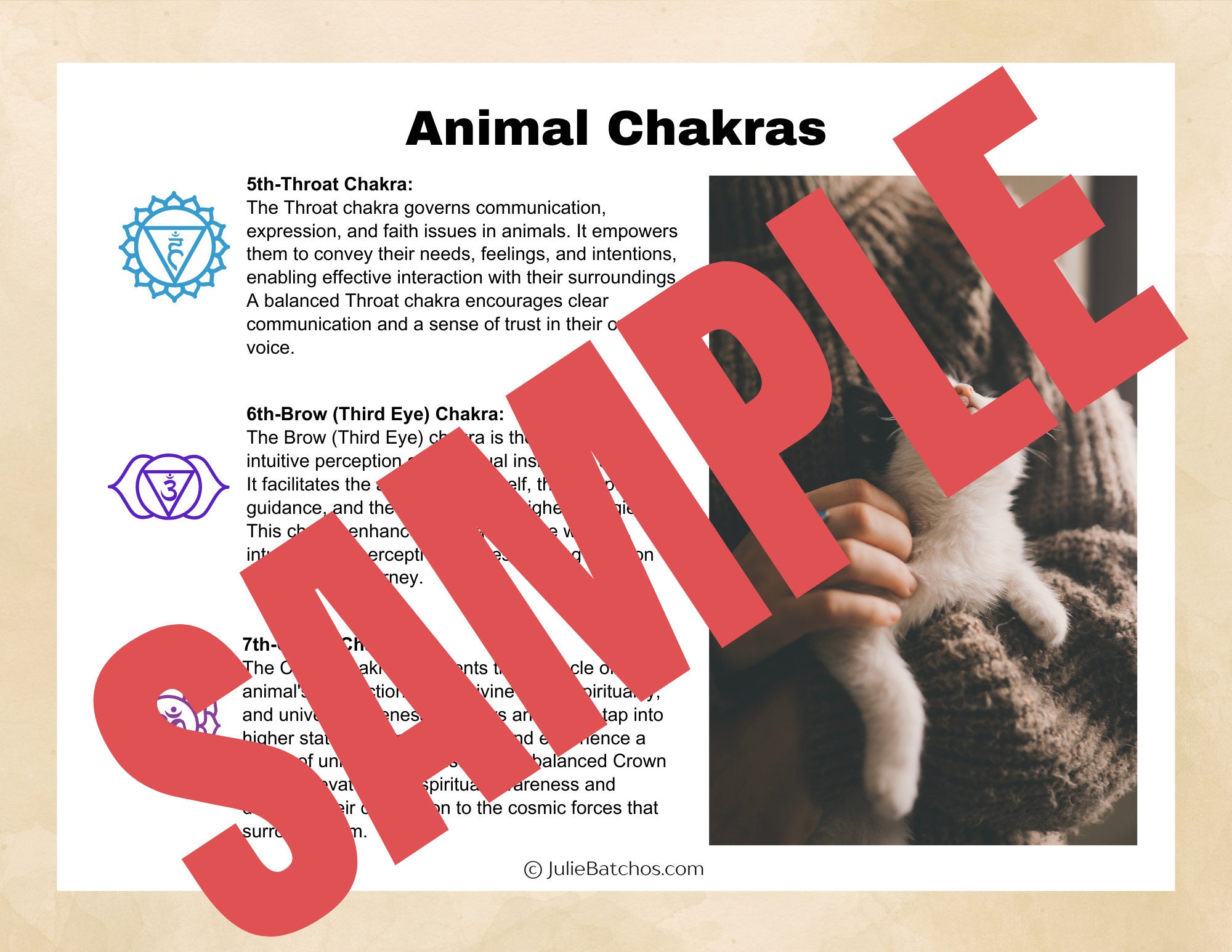 Animal Paw Reflexology and Reiki Healing Guide for Holistic Wellness ...