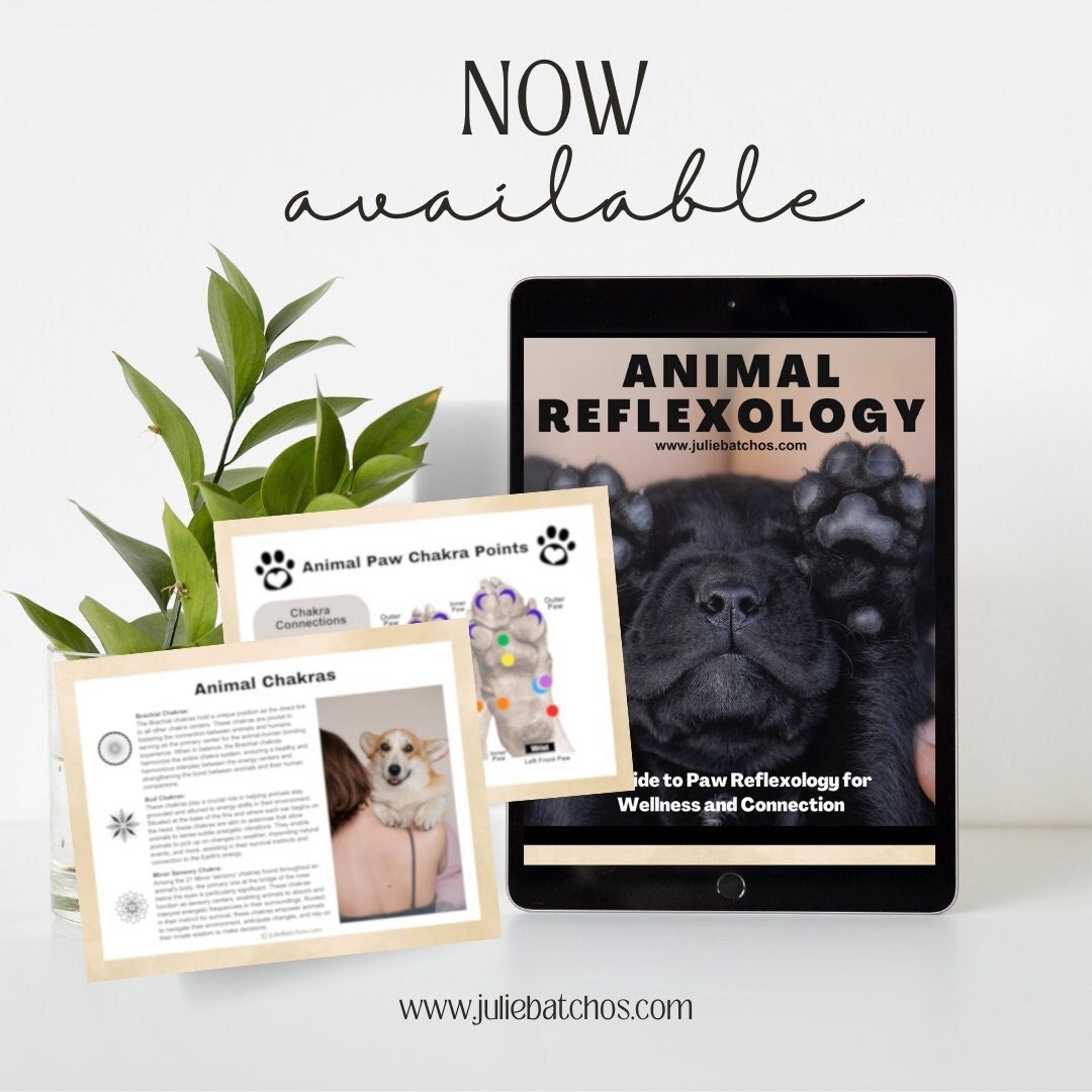 Animal Paw Reflexology and Reiki Healing Guide for Holistic Wellness ...