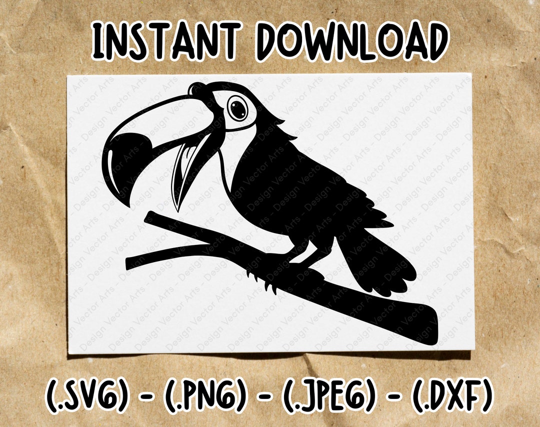 Toucan SVG, Toucan Clipart, Toucan Vector, Toucan PNG, Toucan Cricut ...