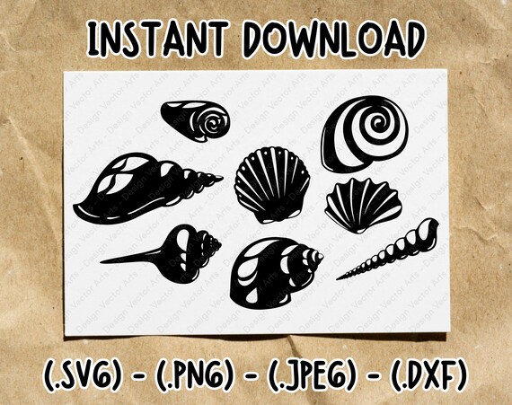 SEASHELL SVG Seashell Svg File Ocean Svg Seashells Svg - Etsy