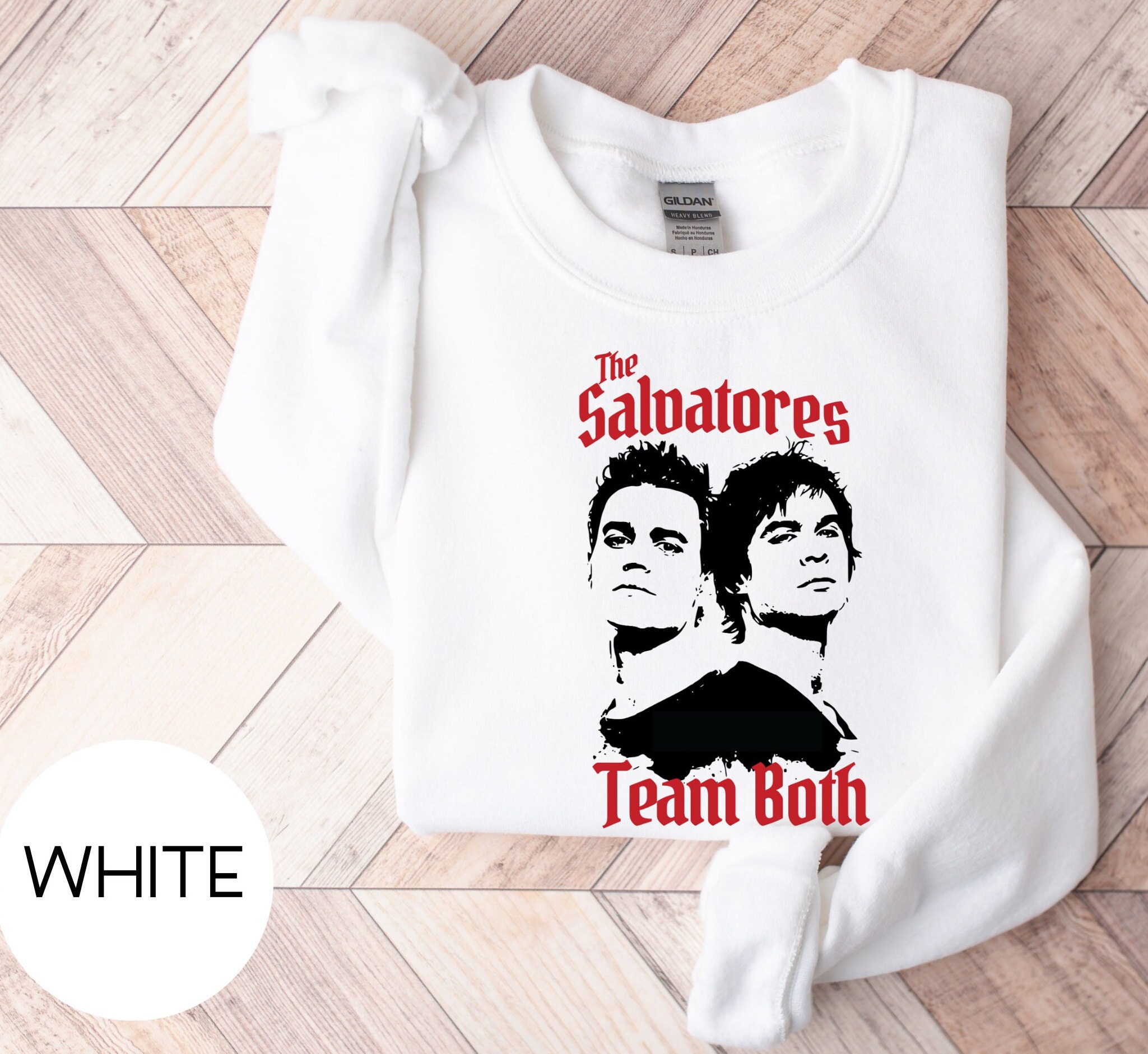 The Salvatores, Team Damon, Team Stefan, the Vampire Diaries, TVD, TVD ...