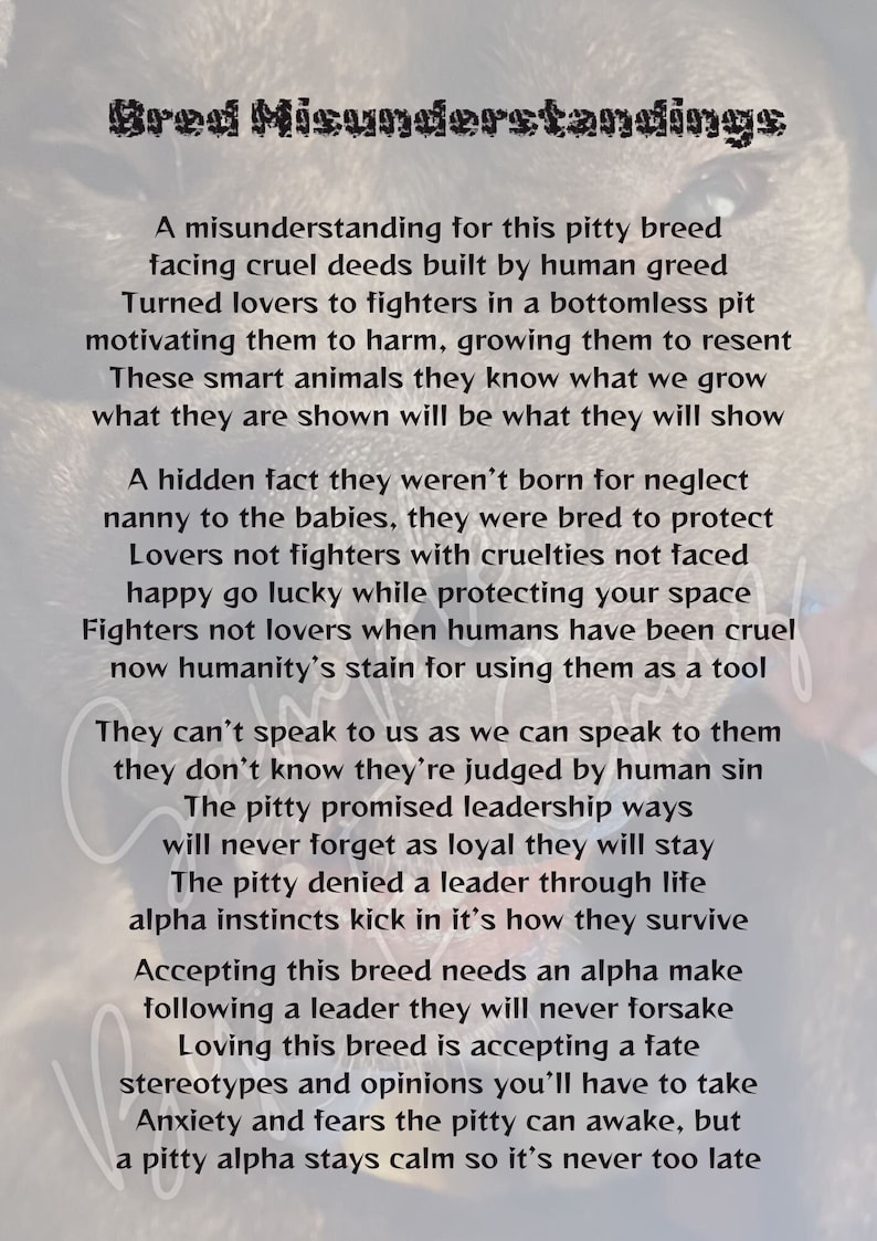 Bred Misunderstandings Printable Poem for Animal Pit Bull Dog Lovers ...