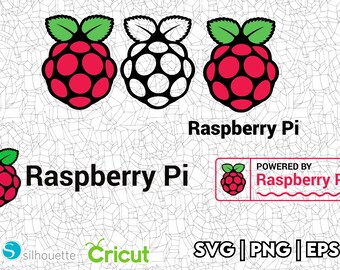Raspberry Pi Vinyl - Etsy