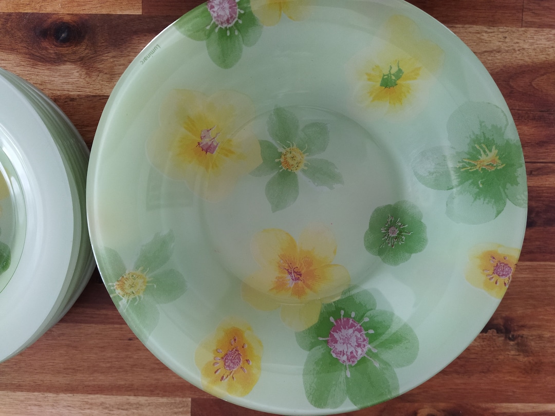 Luminarc Palluy Glass Dinner Plates - Etsy