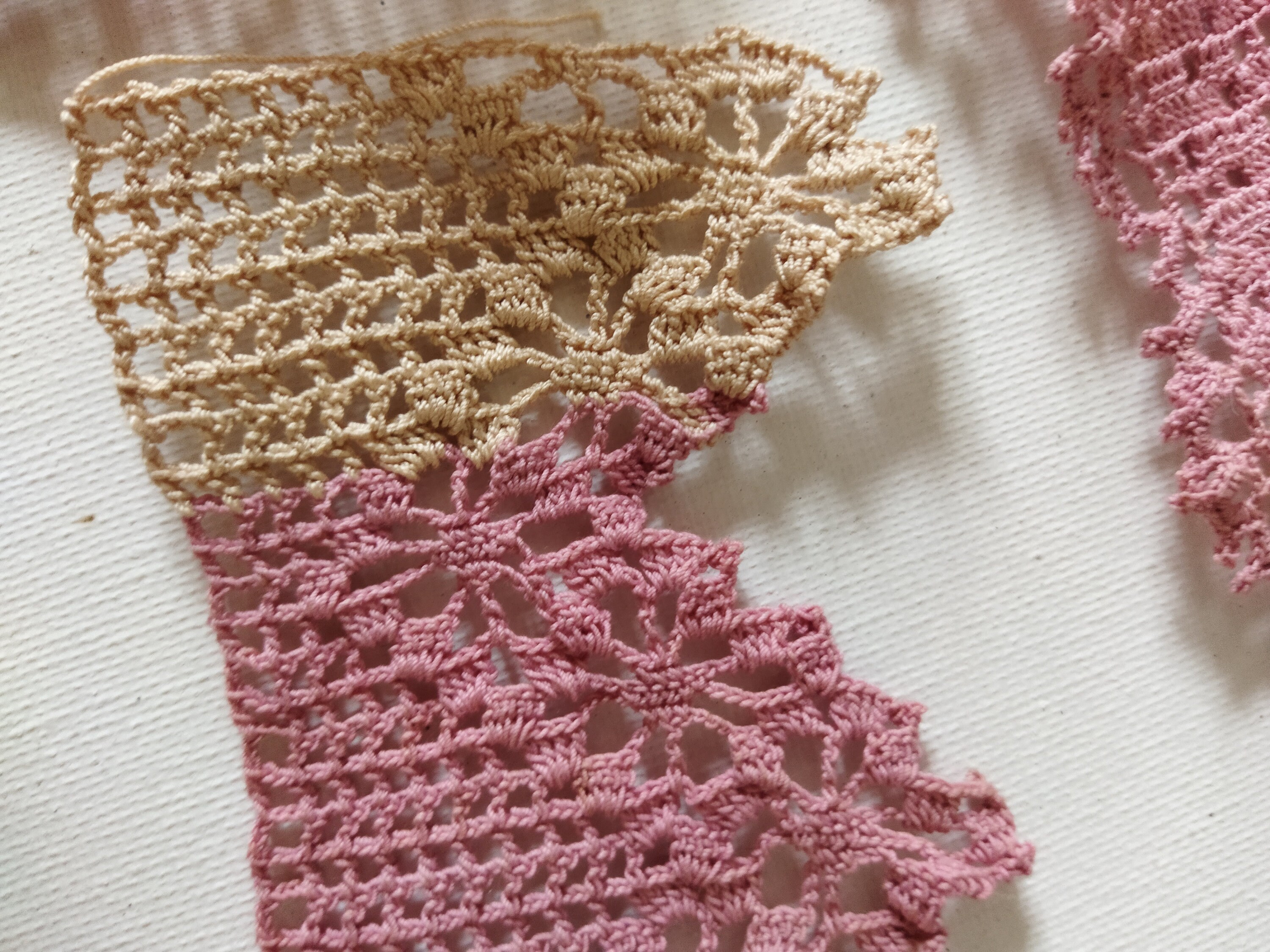 Vintage Lace Samples in Original Box - Etsy