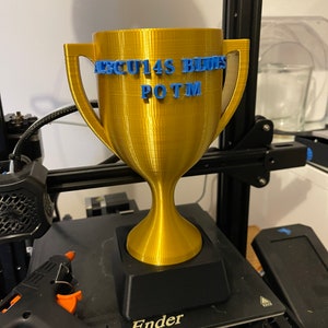 3D Printed Trophy for Any Occasion - Etsy