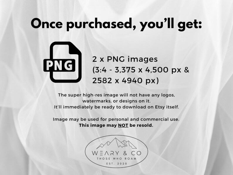 Boeing 737 Poster Wall Art Deco B737 Design Plane Art Airplane Clipart ...