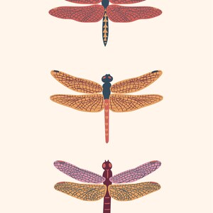 Dragonfly Wall Art Print, Vintage Dragonfly Prints, Dragon Fly ...