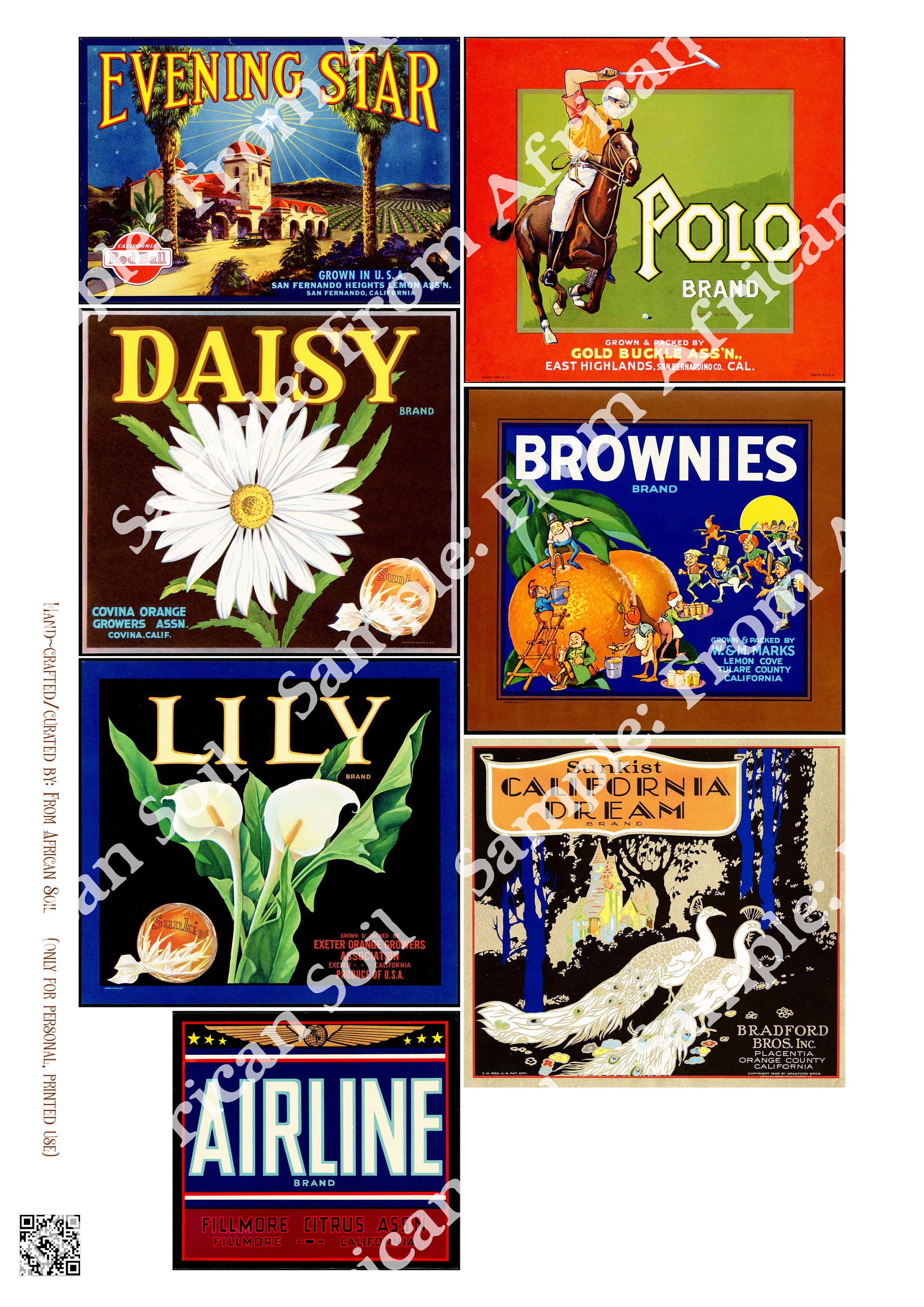 Printable Vintage Labels & Adverts: Fruit Crates, Wine, Drinks, Food ...