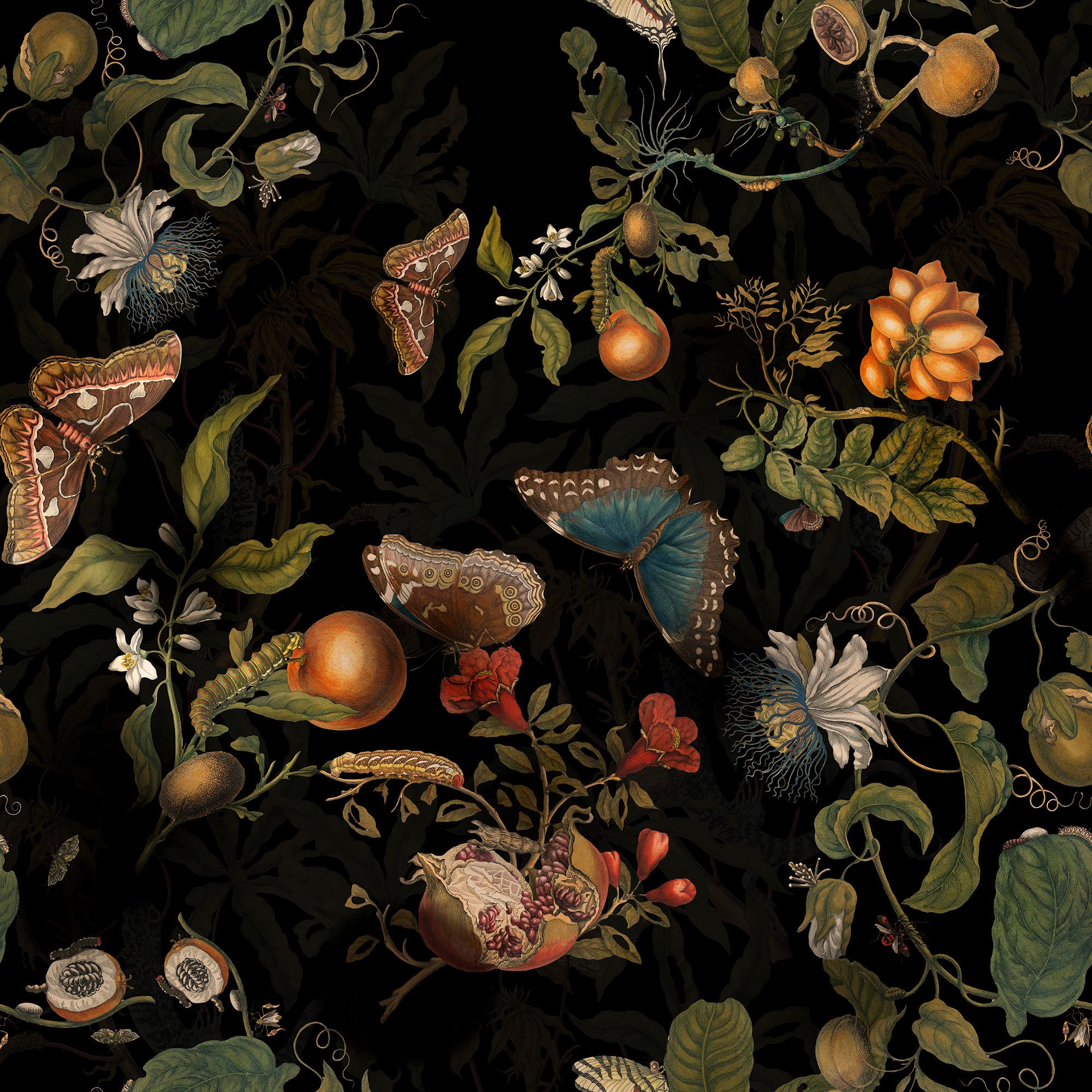Vintage Botanical Wallpaper With Butterflies Fruits And Etsy Uk