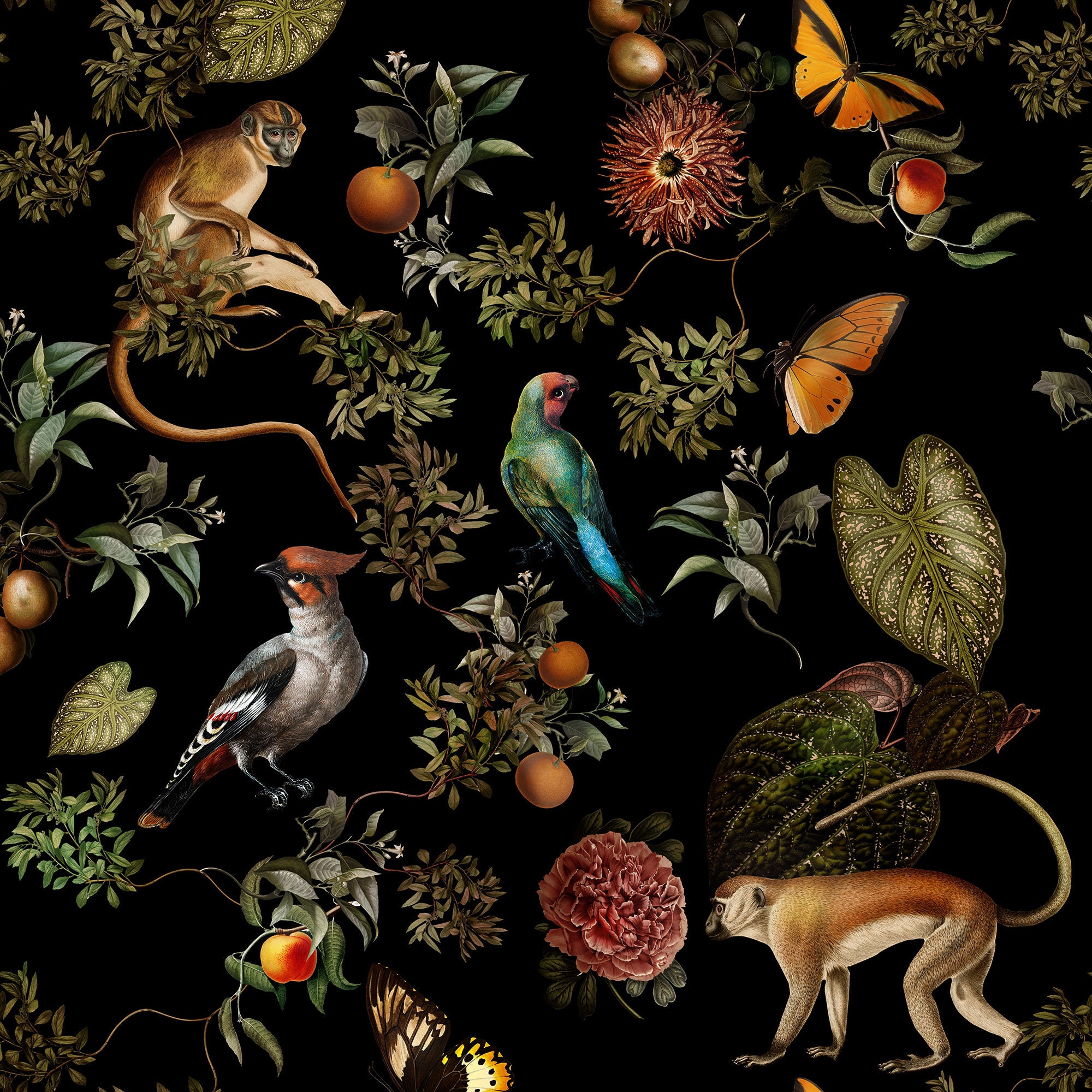 Dark Botanical Wallpaper With Monkeys , Birds and Butterflies. Tropical ...