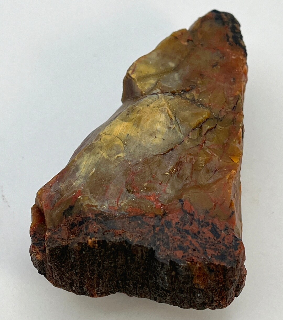 Rainbow Petrified Wood - Arizona Petrified Wood – Fossilized Wood ...