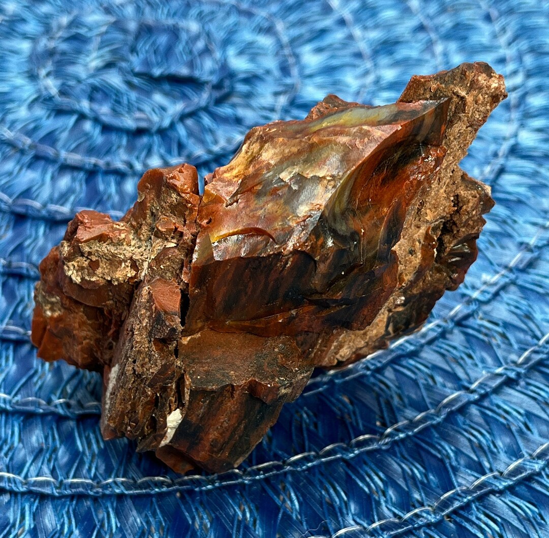Rainbow Petrified Wood Arizona Petrified Wood Fossilized Wood Premium ...