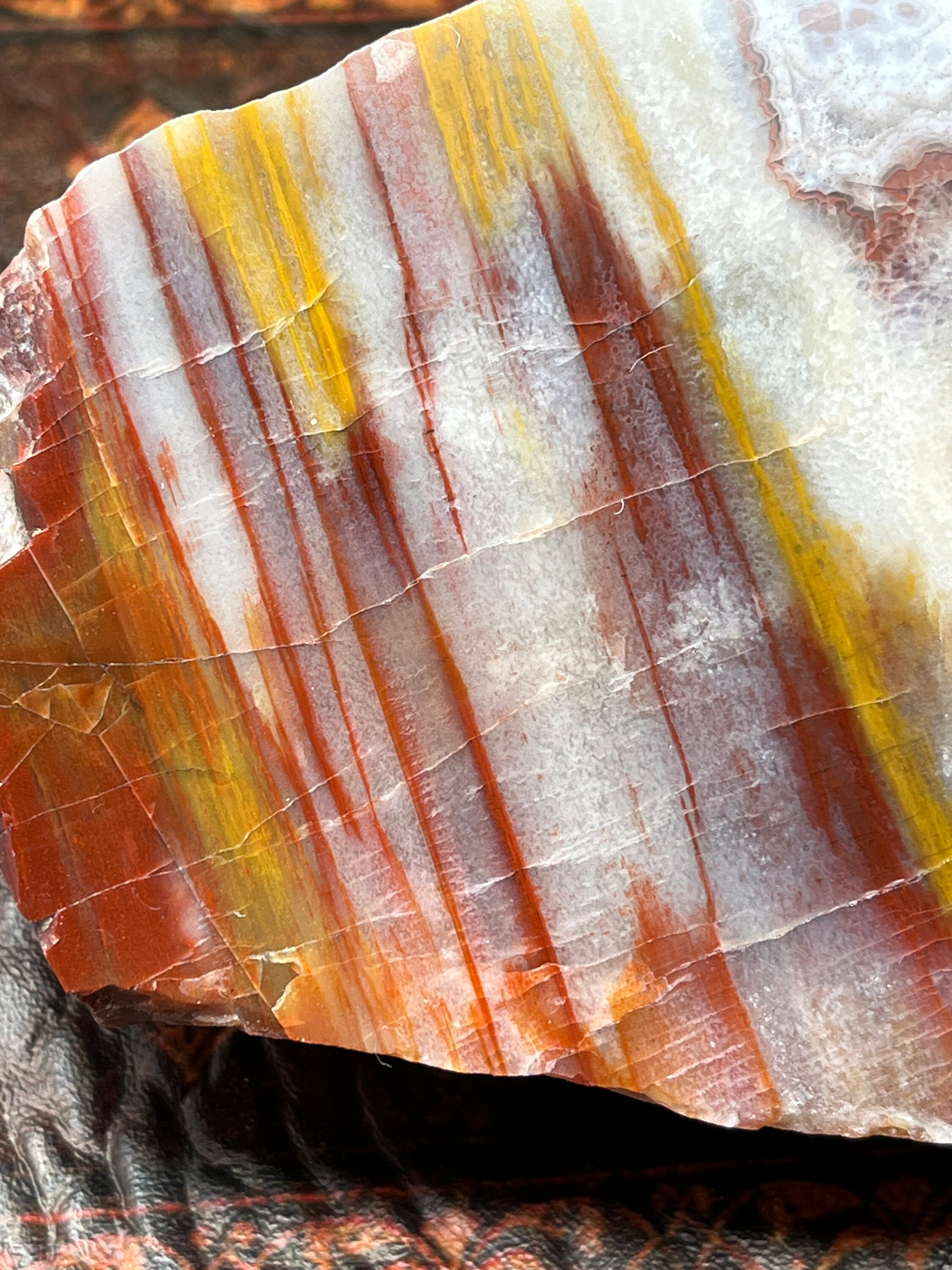 Rainbow Petrified Wood Slab Arizona Petrified Wood Fossilized Wood ...