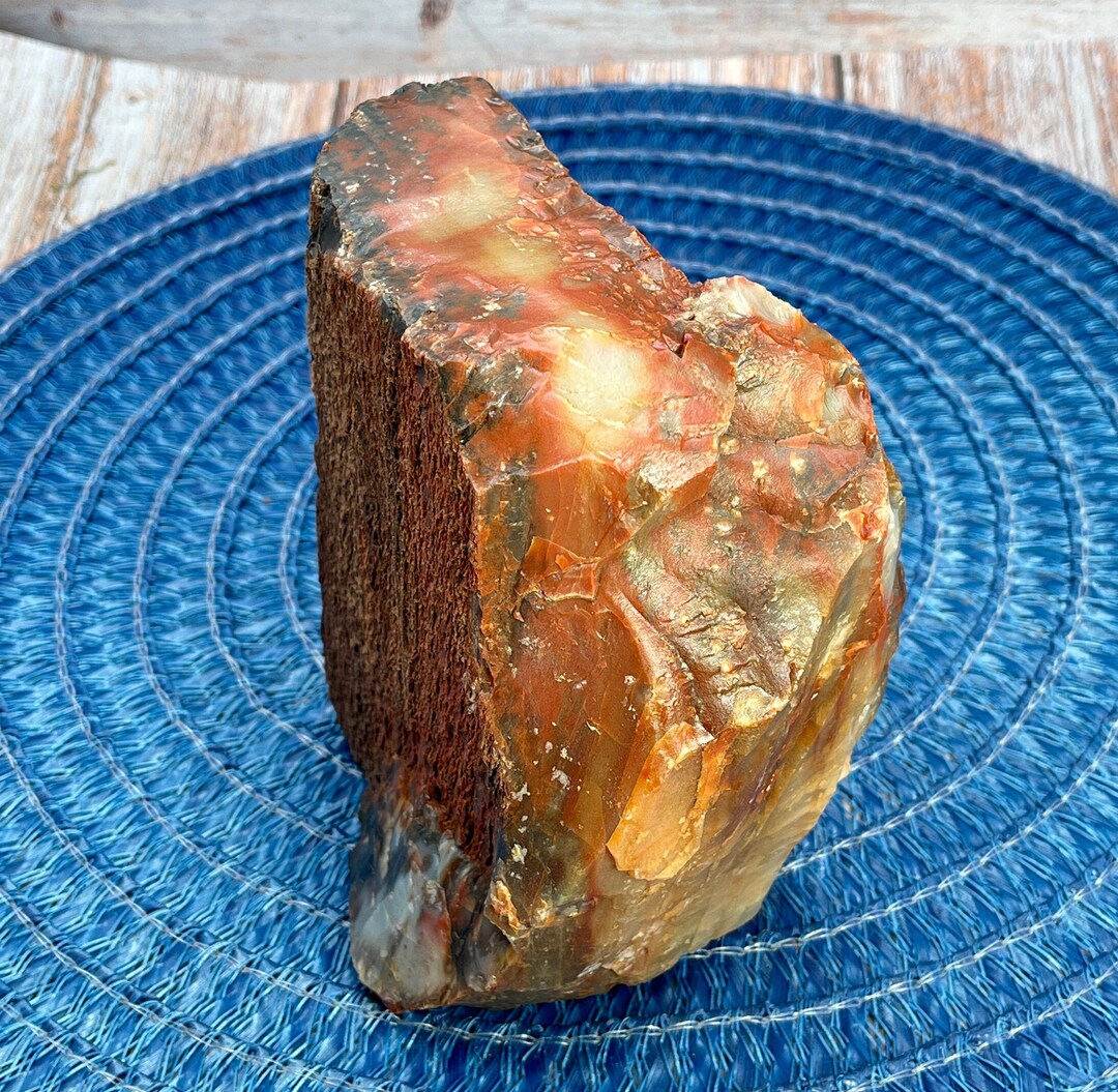 Rainbow Petrified Wood 4 Pounds - Arizona Petrified Wood – Fossilized ...