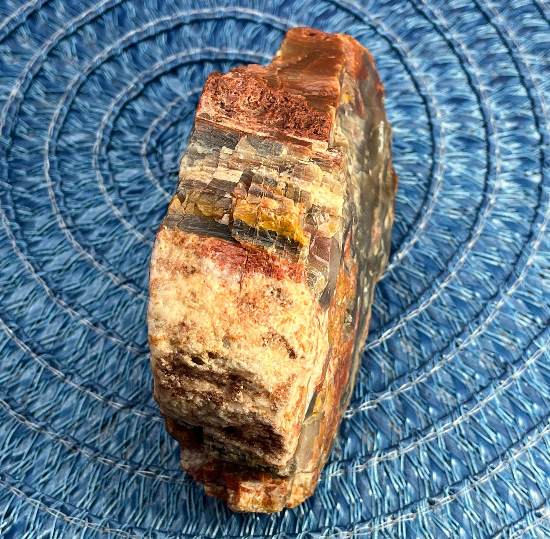Rainbow Petrified Wood - Arizona Petrified Wood – Fossilized Wood ...