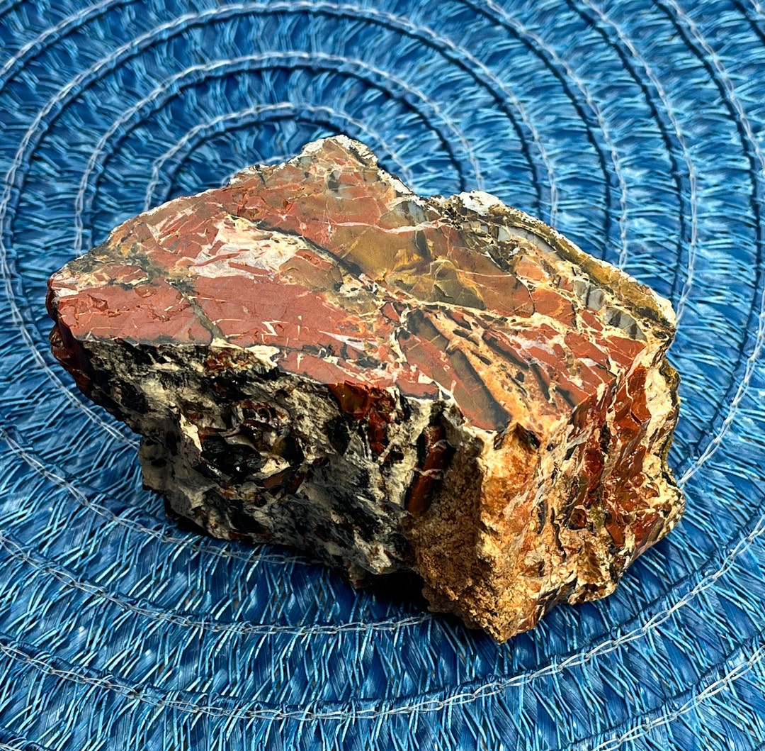 Rainbow Petrified Wood - Arizona Petrified Wood – Fossilized Wood ...