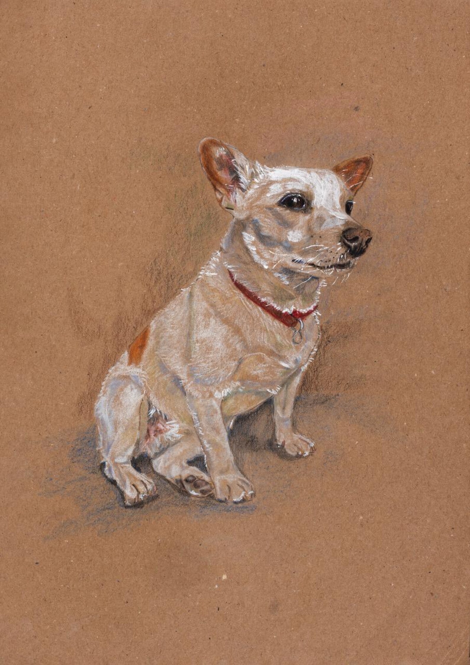 Hand Drawn Dog Portrait- A4 Excellent Quality Print - Etsy