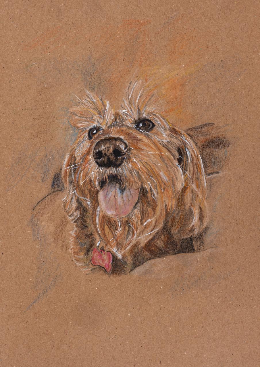 Hand Drawn Dog Portrait- A4 Excellent Quality Print - Etsy