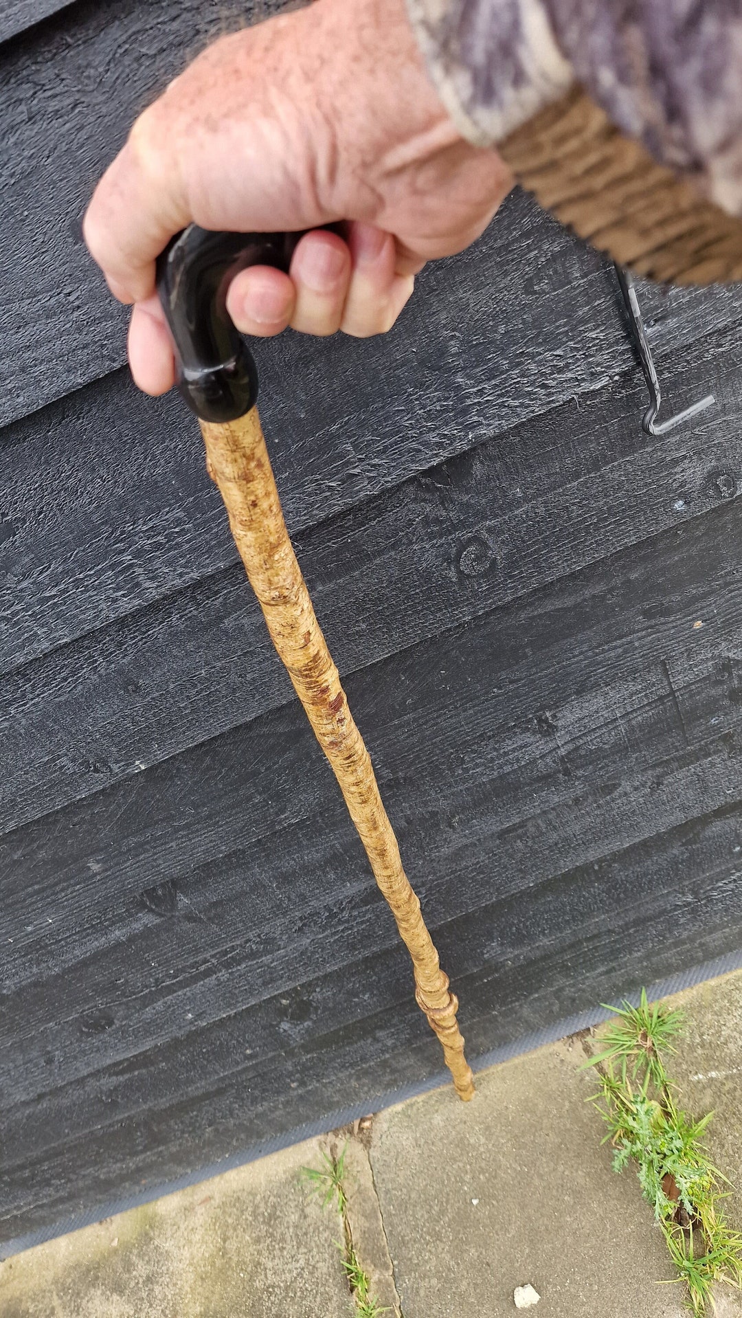 Twisted Hazel Buffalo Horn Knob Handle Knobstick Walking Stick Staff - Etsy