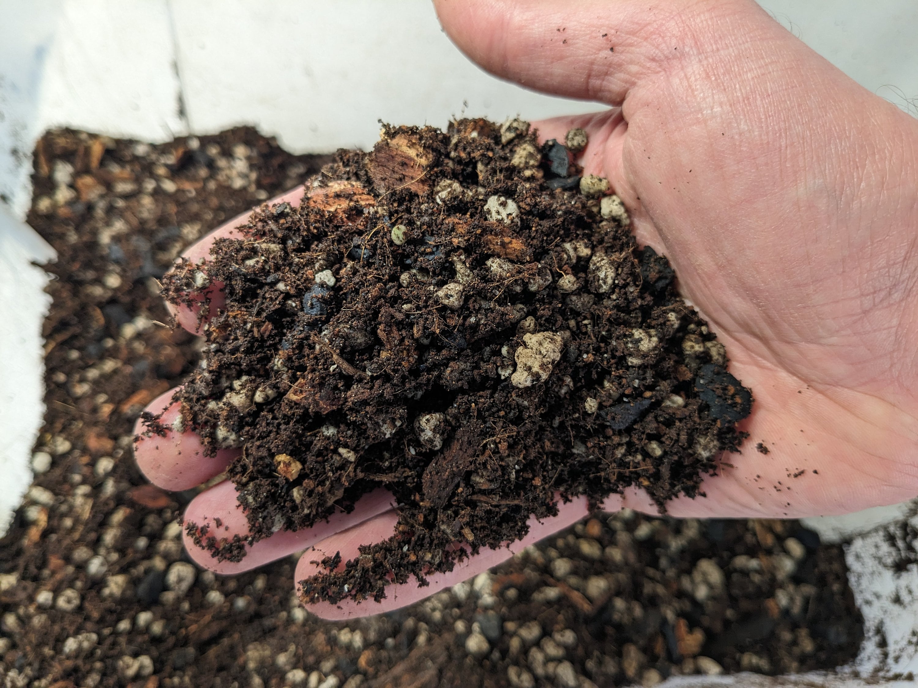 Happy Hoya Soil Blend, Premium Peat-free Potting Soil Mix, 2 Lb - Etsy