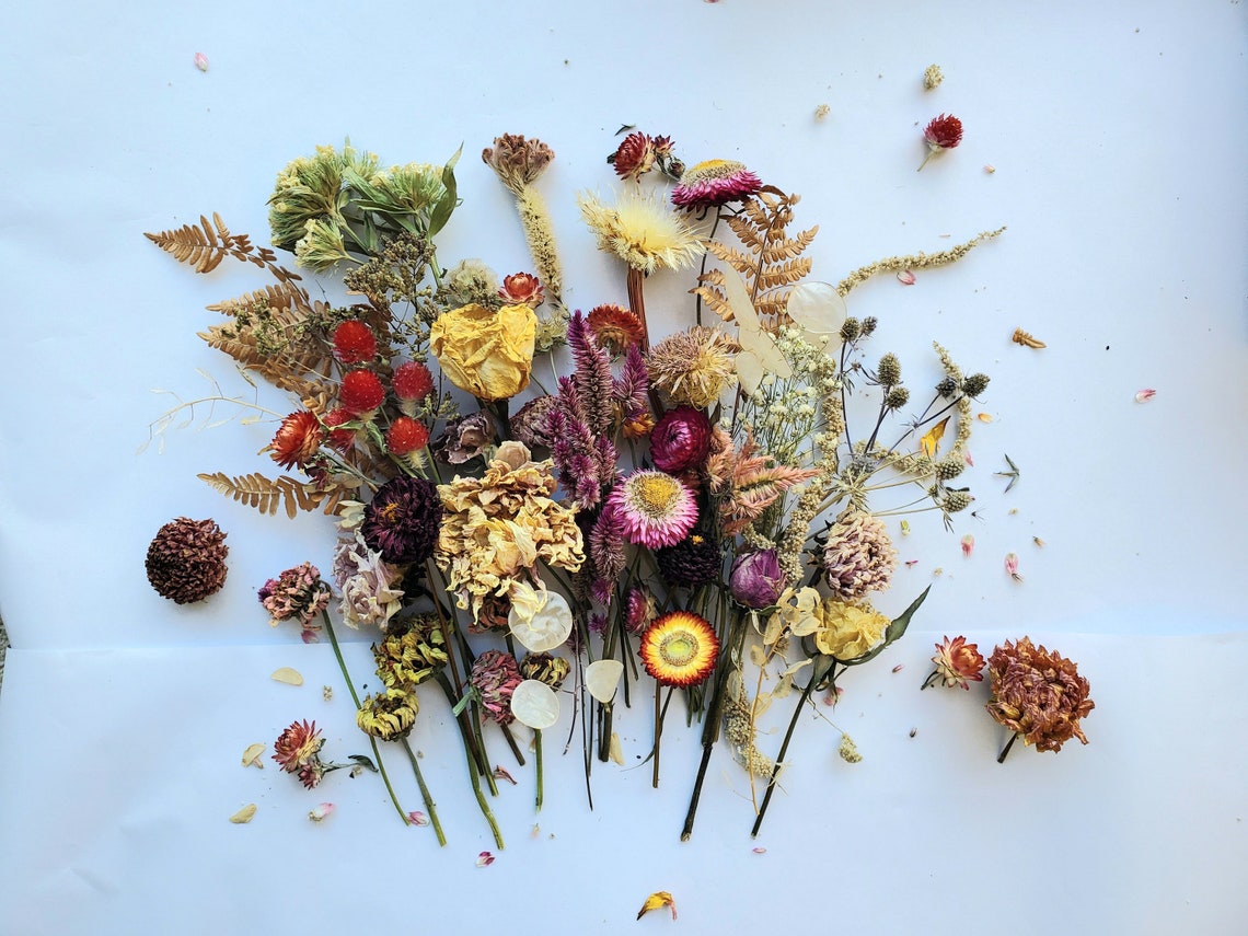 Dried Flower Craft Box - Etsy