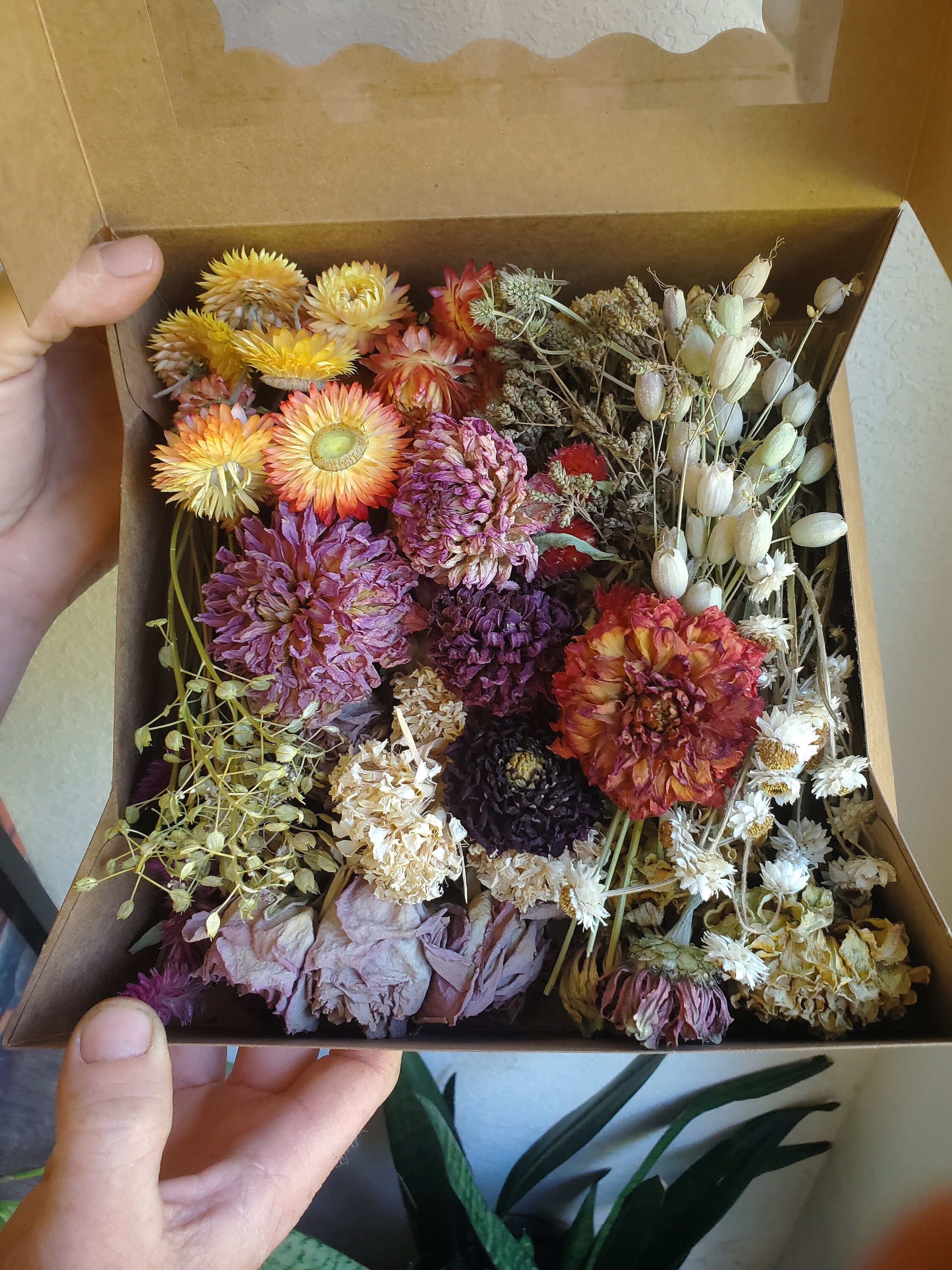 Dried Flower Craft Box - Etsy
