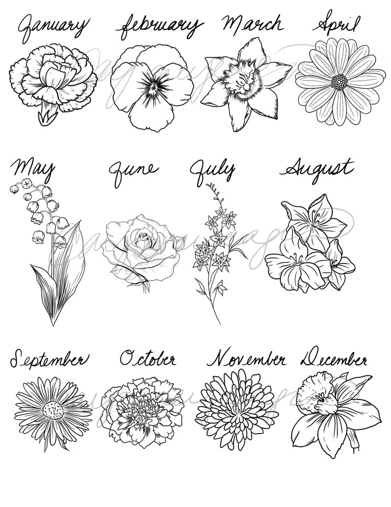Flower Zodiac Sign Printable Wall Art - Etsy