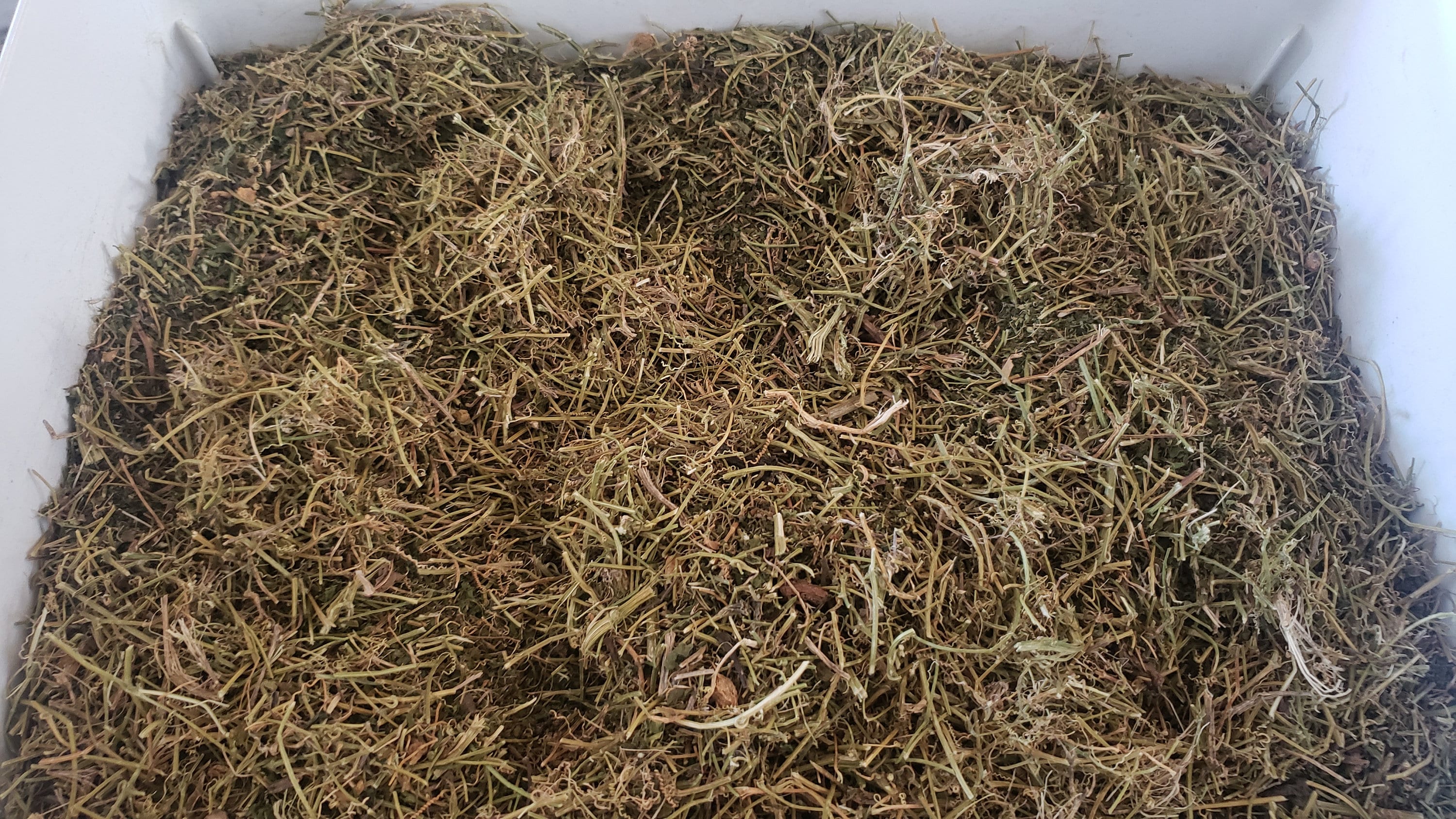 Dried Cerasee Leaves and Stems / Cerasee Tea / Bitter Melon - Etsy