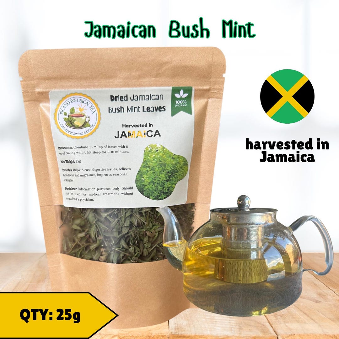 Organic Jamaican Bush Mint Tea, Herbal Tree Mint - 25g - Etsy