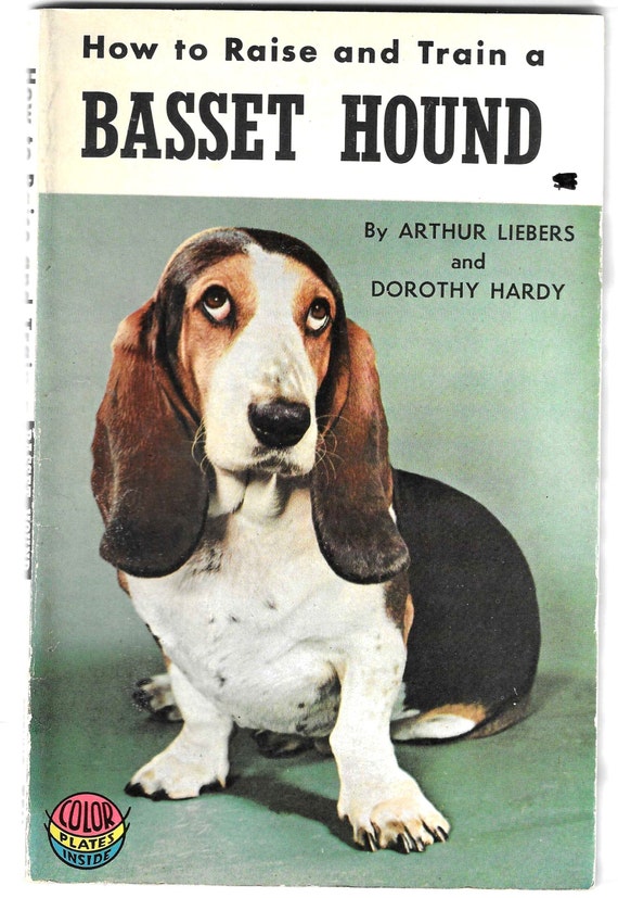 Basset Hound Book