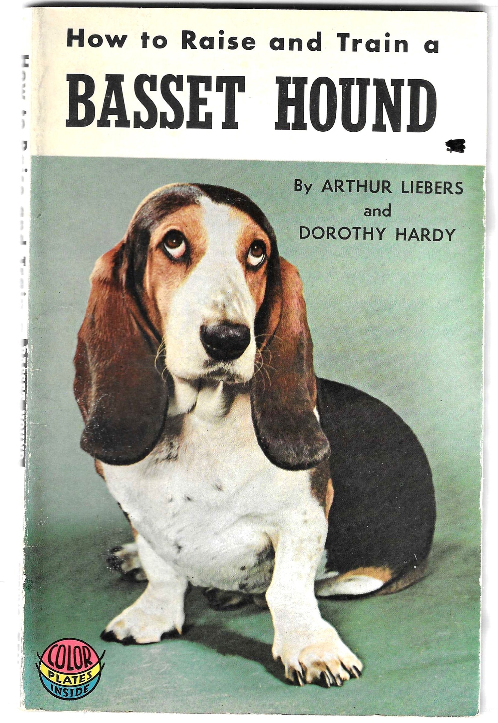 How To Train A Basset Hound To Track