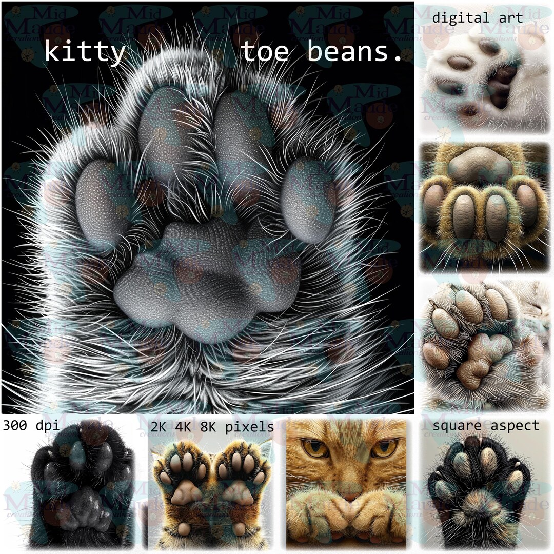 Kitty Toe Beans Digital Art Png Printable Bundle of Square Jpg Images ...