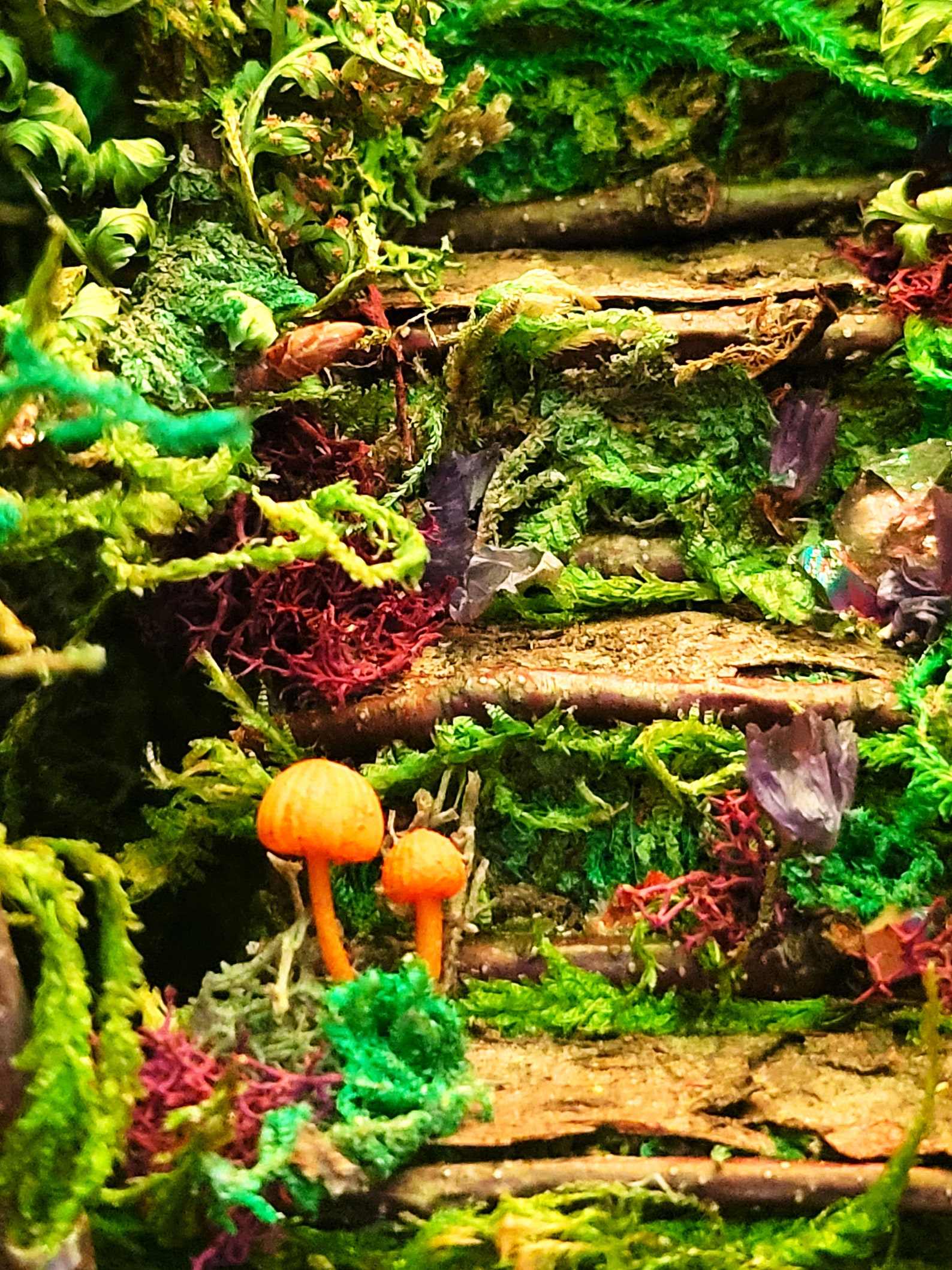 Handmade Nature Book Nook - Etsy