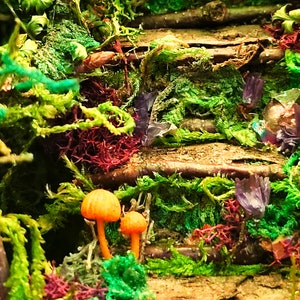 Handmade Nature Book Nook - Etsy