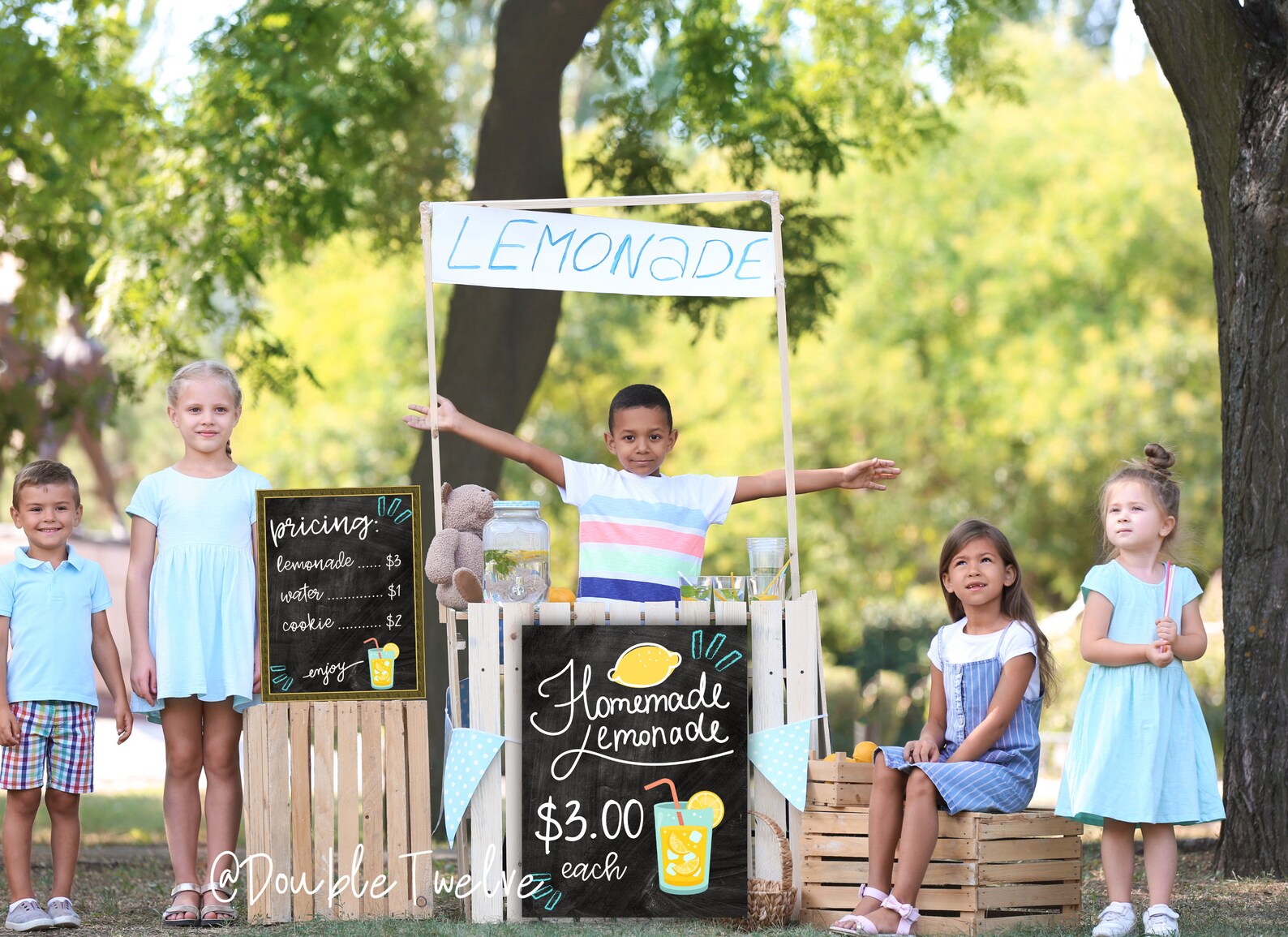 Lemonade Stand Poster & Pricing Sign Bundle, Editable Template, Summer ...