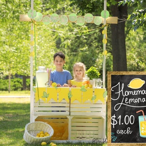 Lemonade Stand Template, Farmers Market Booth Signage, Small Business ...