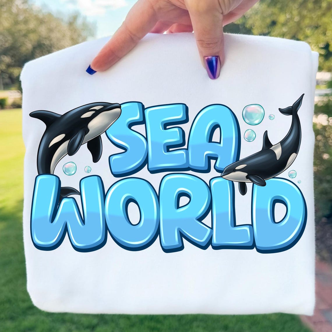 Sea World Png, Seaworld Adventure Png, Family Vacation 2026, Cruise ...