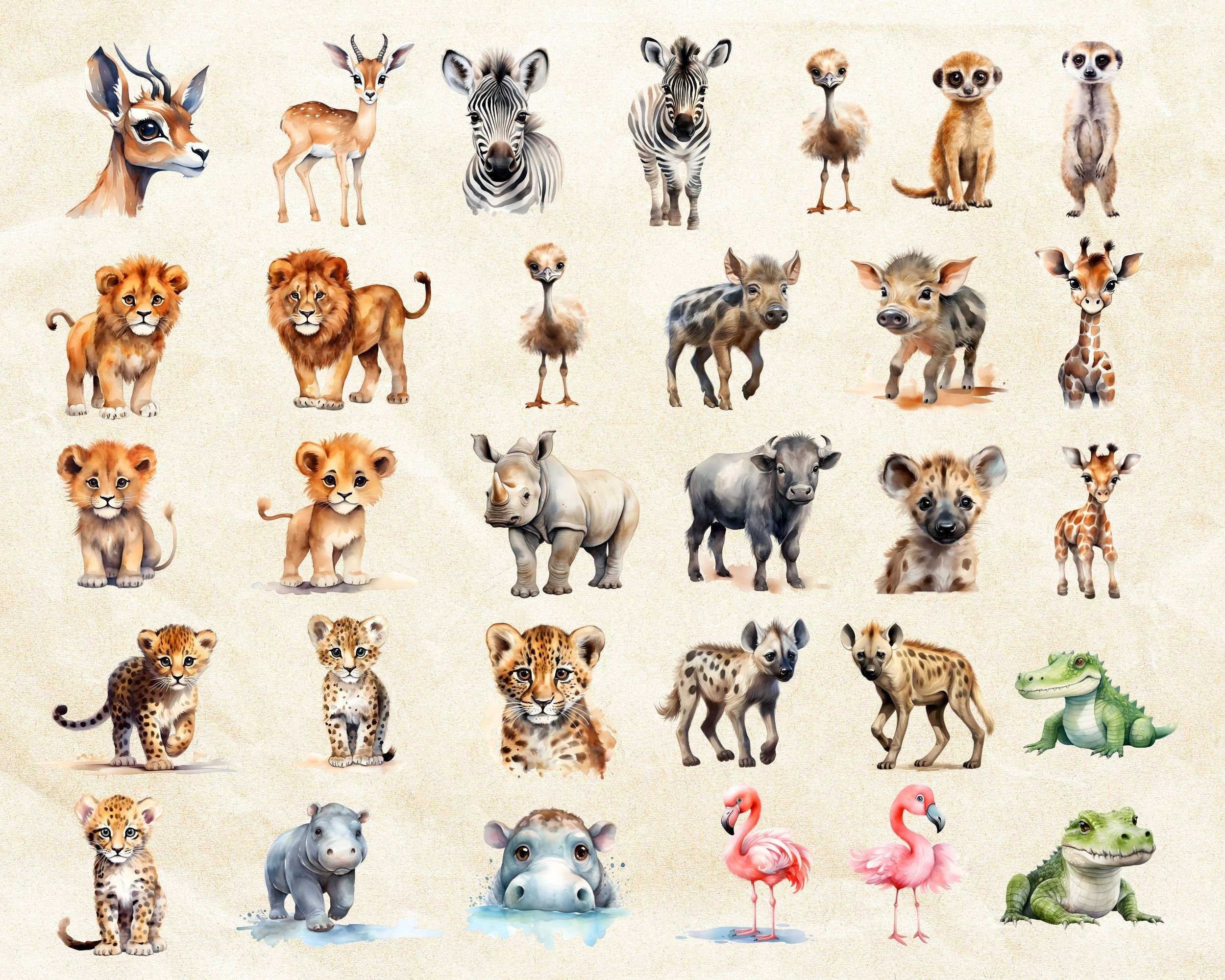 Safari Animals Watercolor Clipart Bundle - Etsy