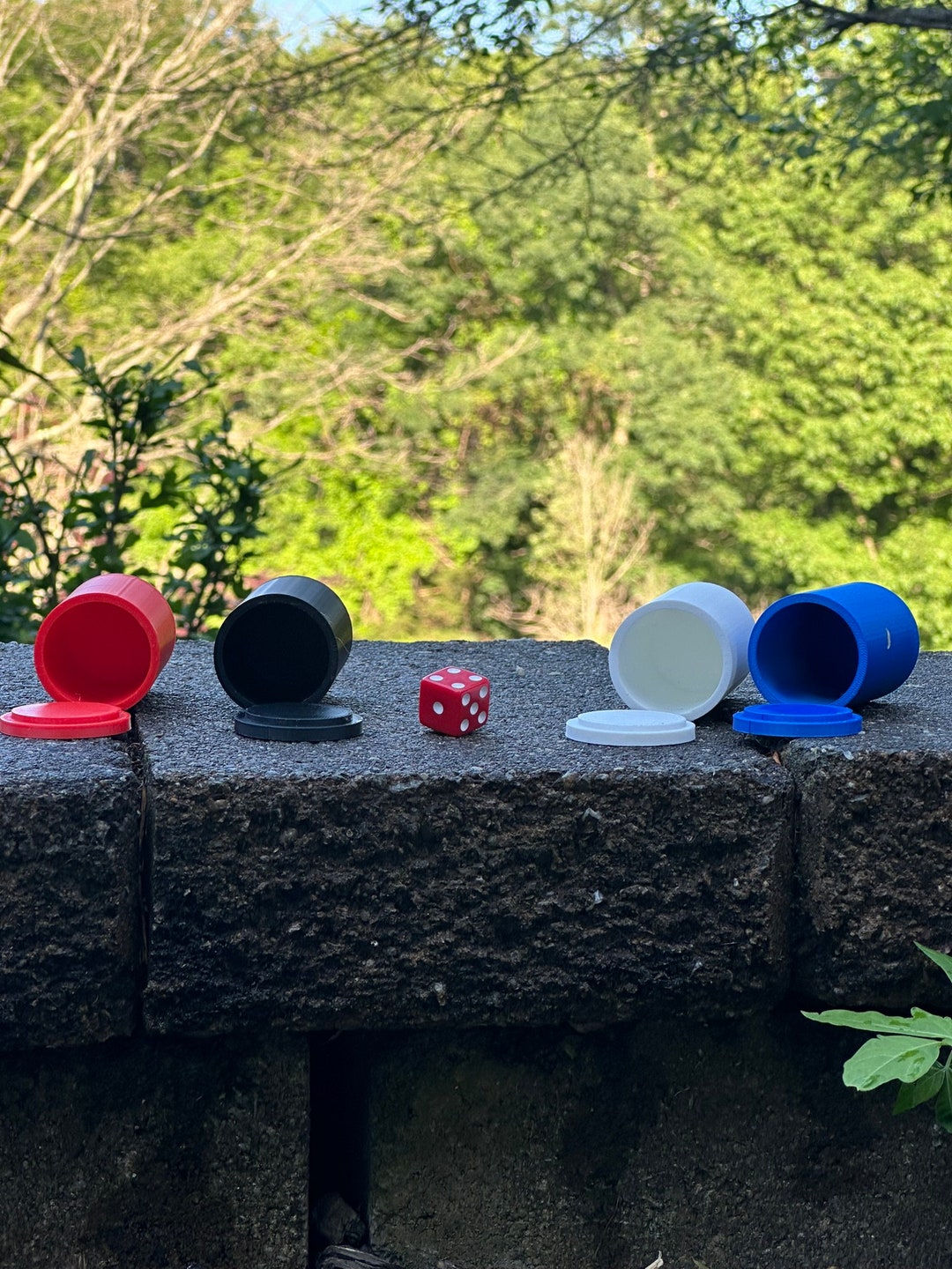 Dice Shaker | Dungeons & Dragons | Sorry | Monopoly - Etsy