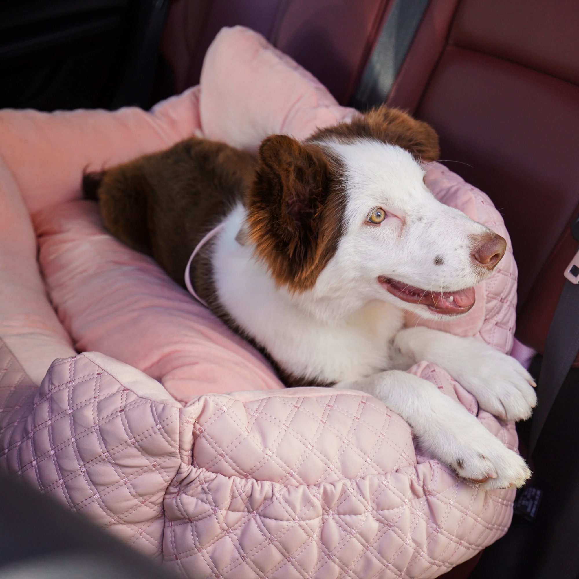 Luxury Pet Car Booster Bed 2 in 1 Travel Bed and Car Bed Dog Car Seat ...