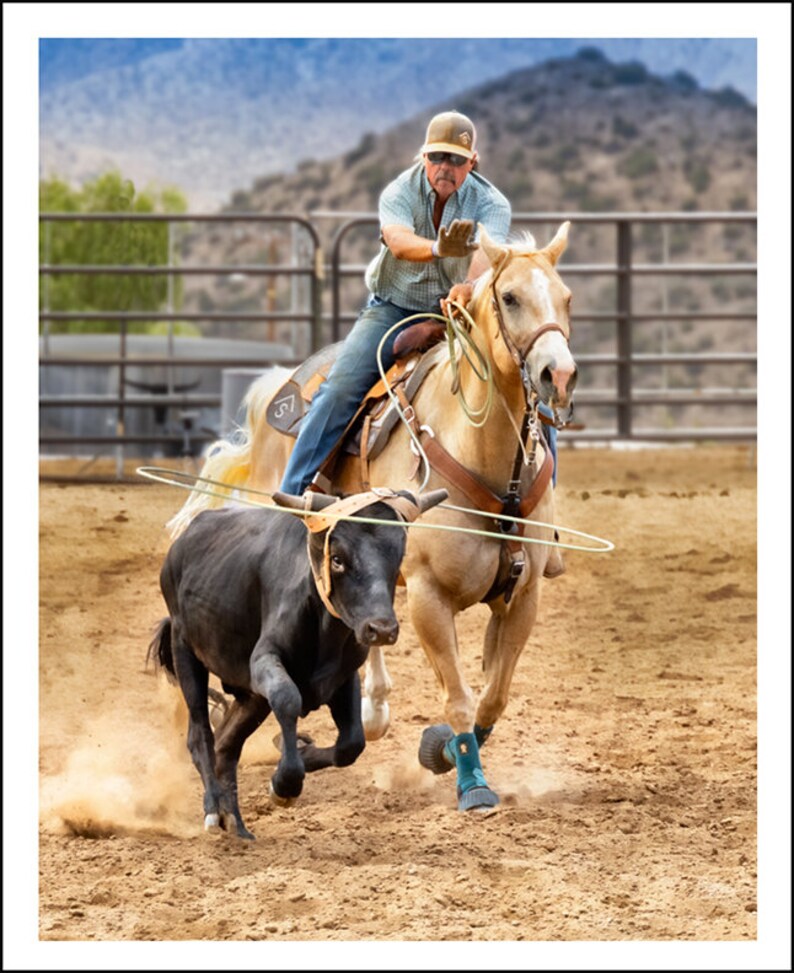 Cowboy Roping Photography Print Cowboy Rodeo Life Picture - Etsy