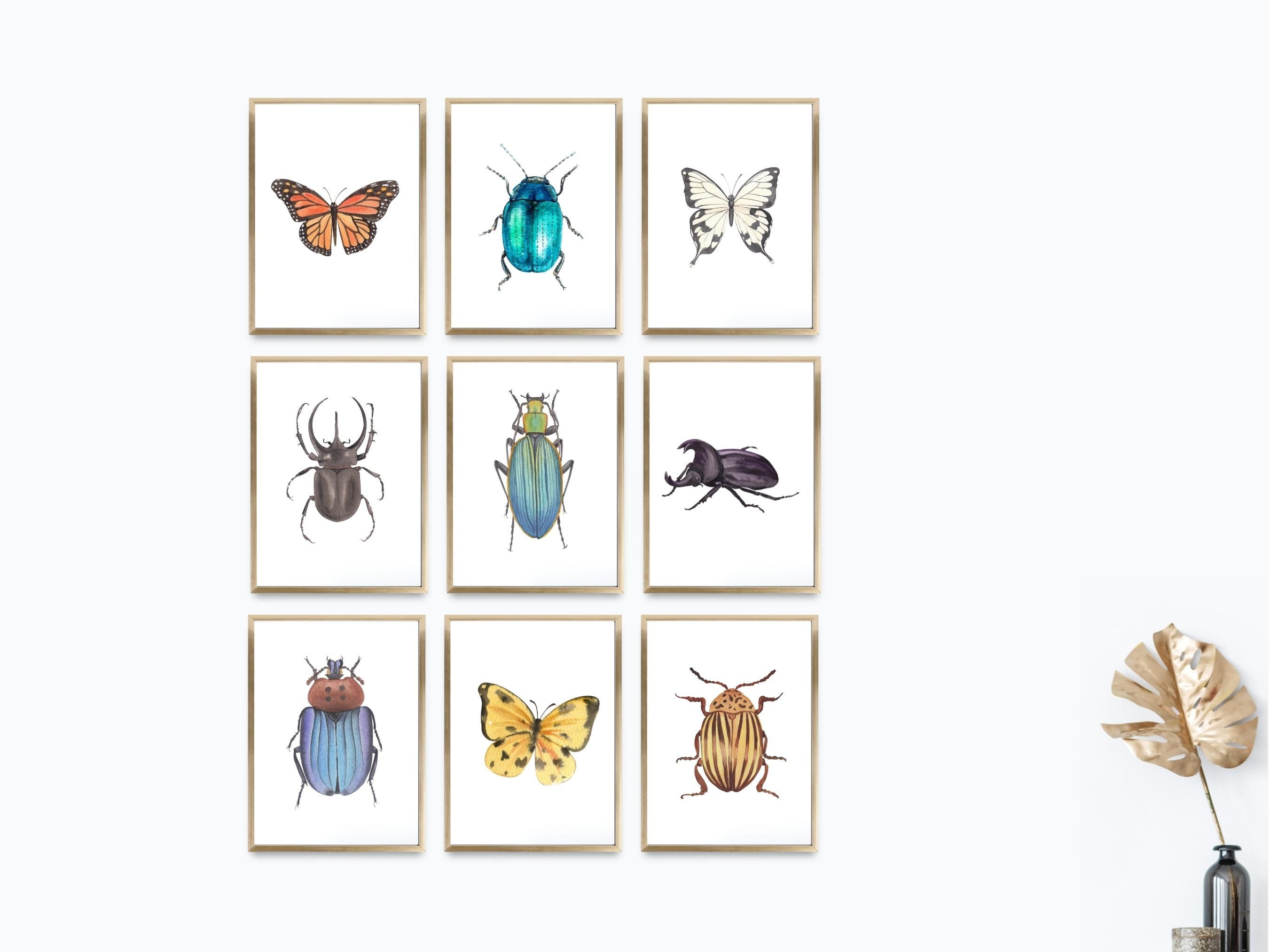 Insect Gallery Wall Art Set Bundle of 9 Printable Bug Illustrations ...