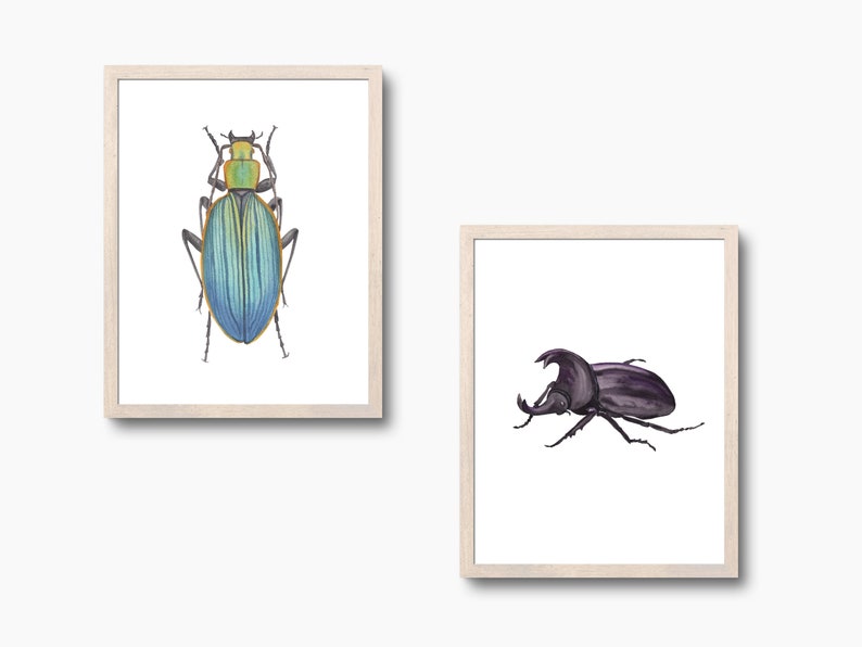 Insect Gallery Wall Art Set Bundle of 9 Printable Bug - Etsy