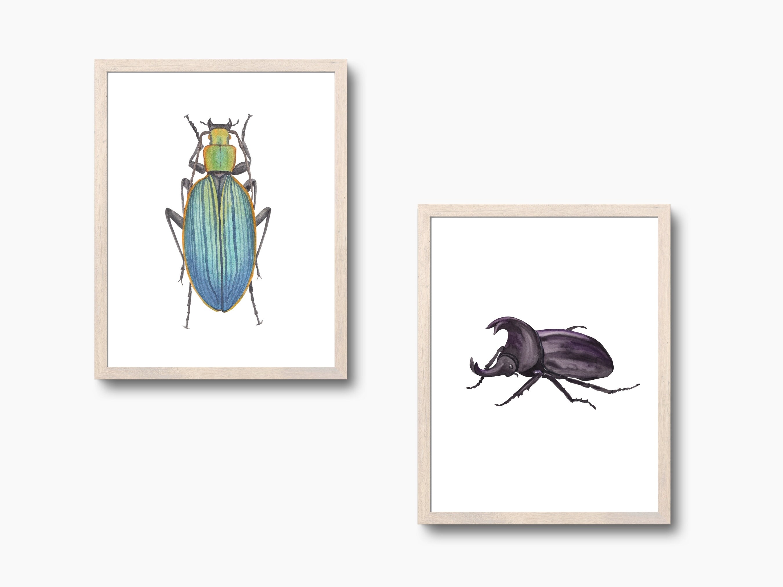 Insect Gallery Wall Art Set Bundle of 9 Printable Bug - Etsy