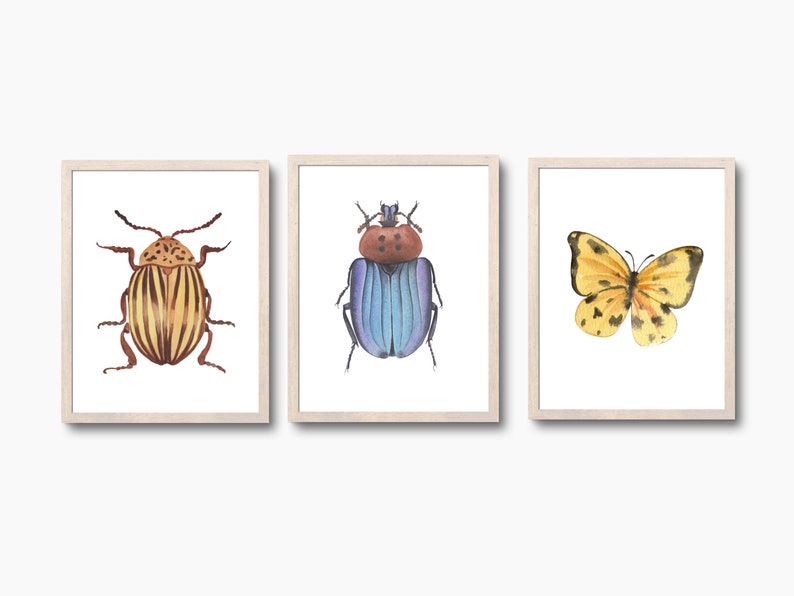 Insect Gallery Wall Art Set Bundle of 9 Printable Bug - Etsy